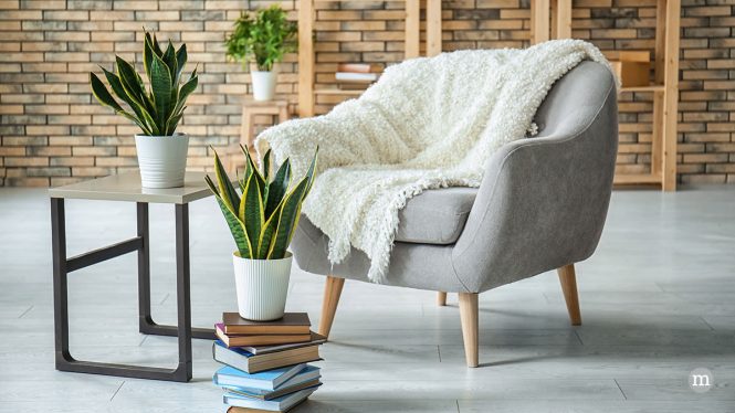 Leseecke einrichten für stundenlanges Schmökern